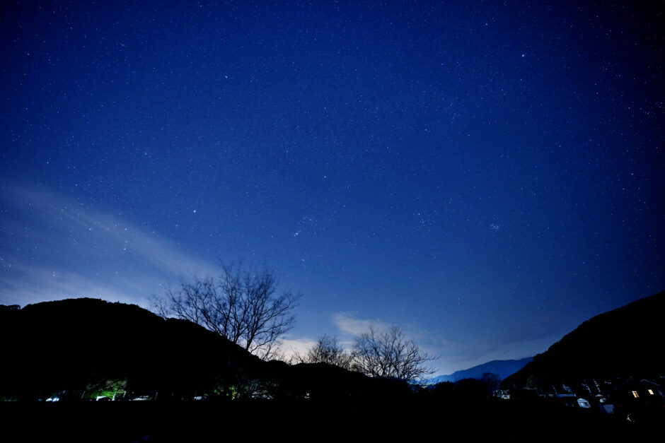 Profile | Atlantis lab